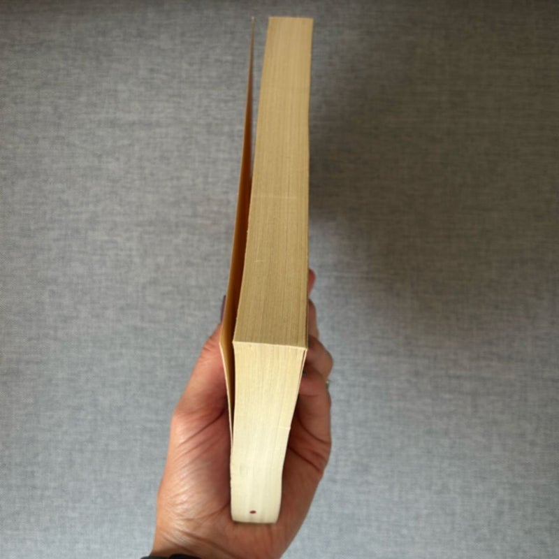 Rooftops of Tehran by Mahbod Seraji