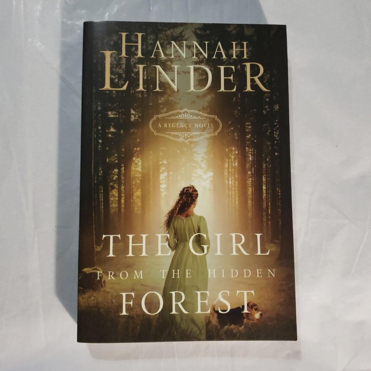 The Girl from the Hidden Forest by Hannah Linder