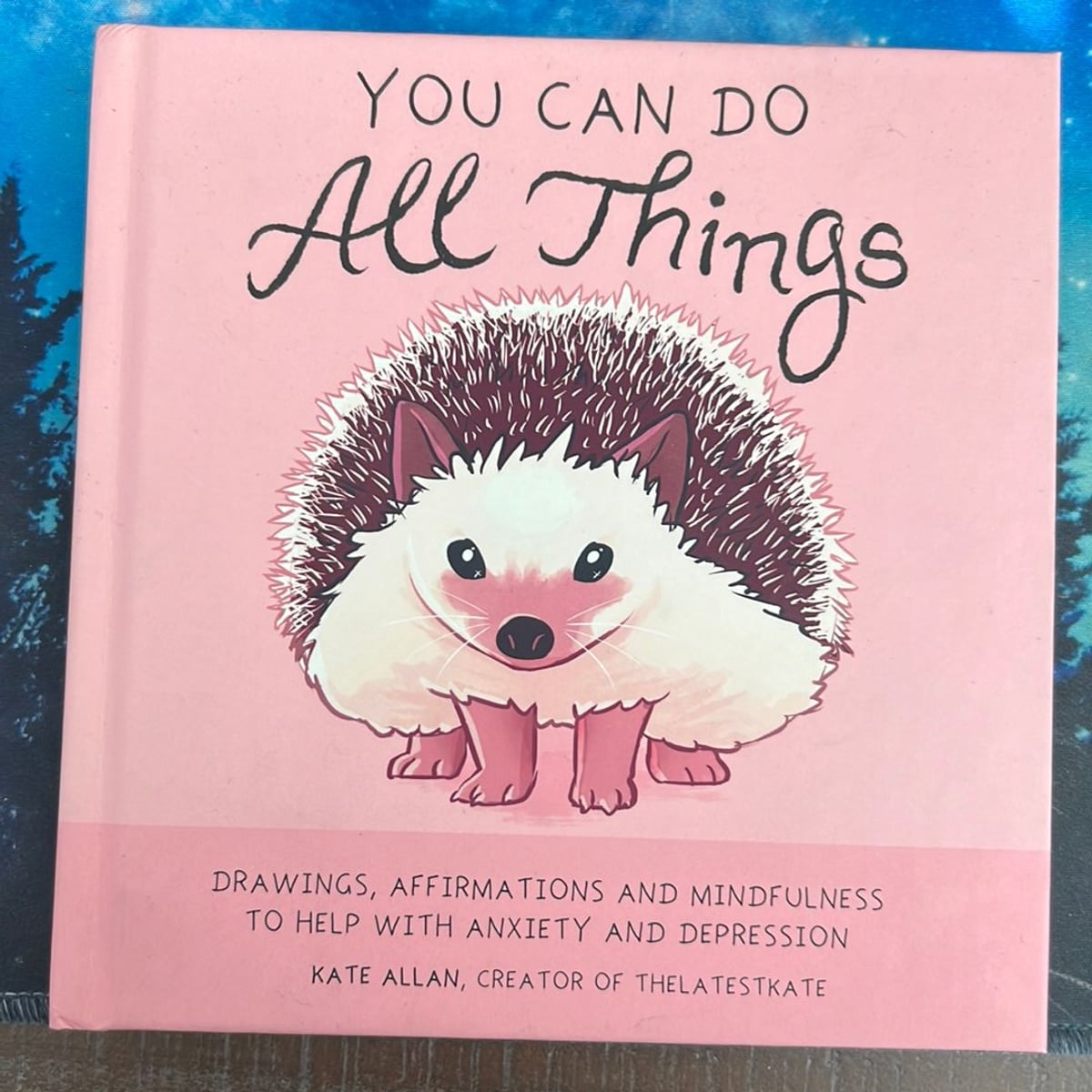 You Can Do All Things by Kate Allan, Hardcover | Pangobooks