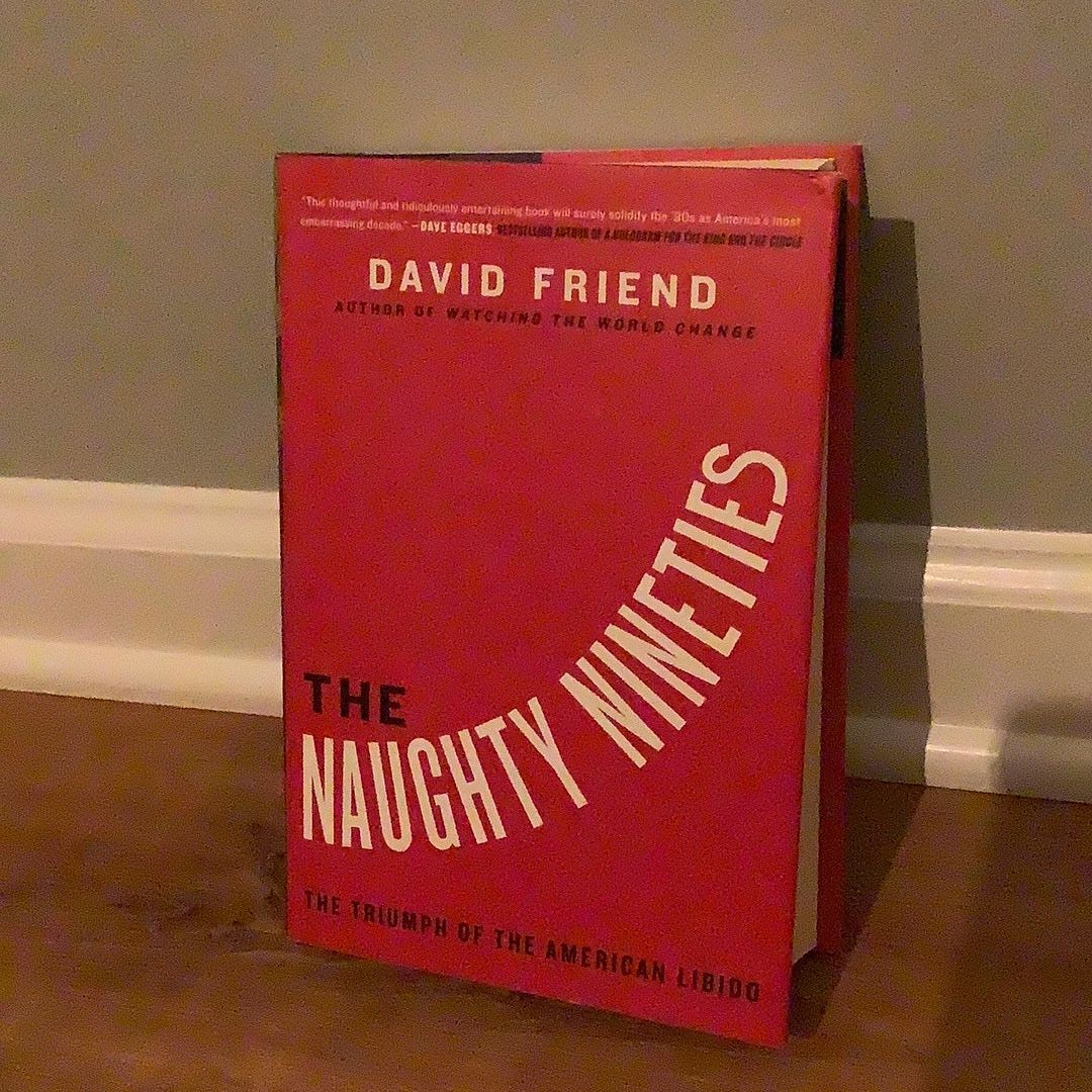 The Naughty Nineties by David Friend
