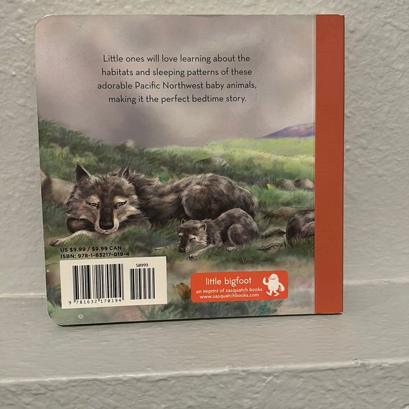 Where Do I Sleep? by Jennifer Blomgren, Hardcover | Pangobooks