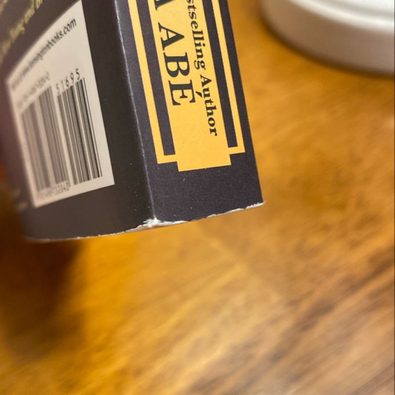 The Second Mrs. Astor by Shana Abe