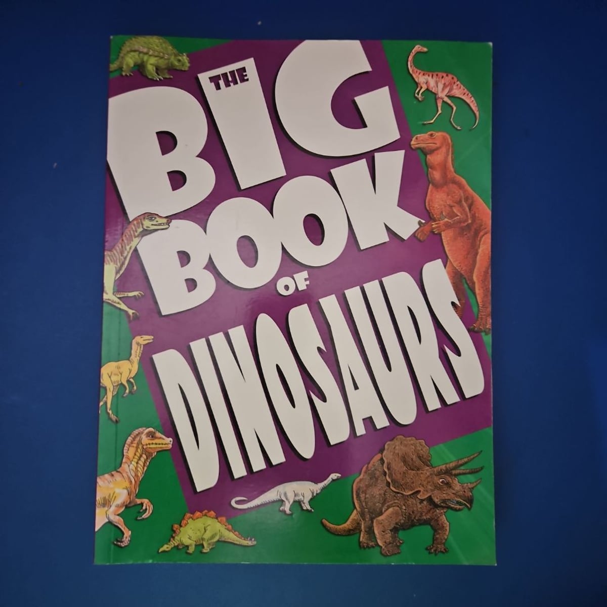 The BIG BOOK of DINOSAURS by Tony Tallirico, Paperback | Pangobooks