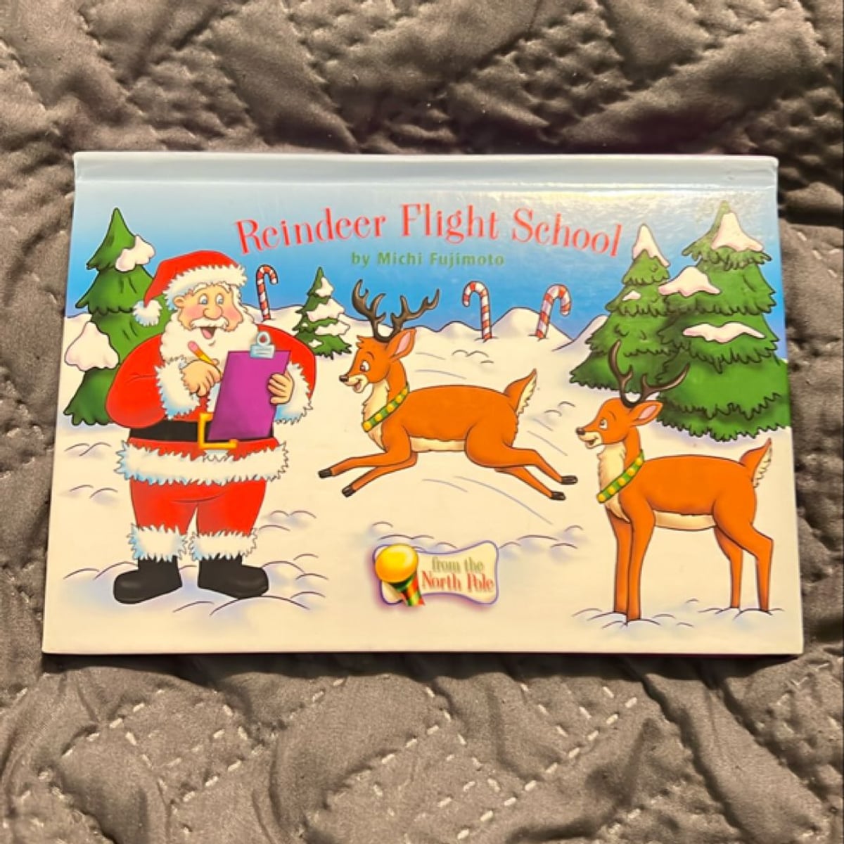Reindeer Flight School by michi fujimoto , Hardcover | Pangobooks
