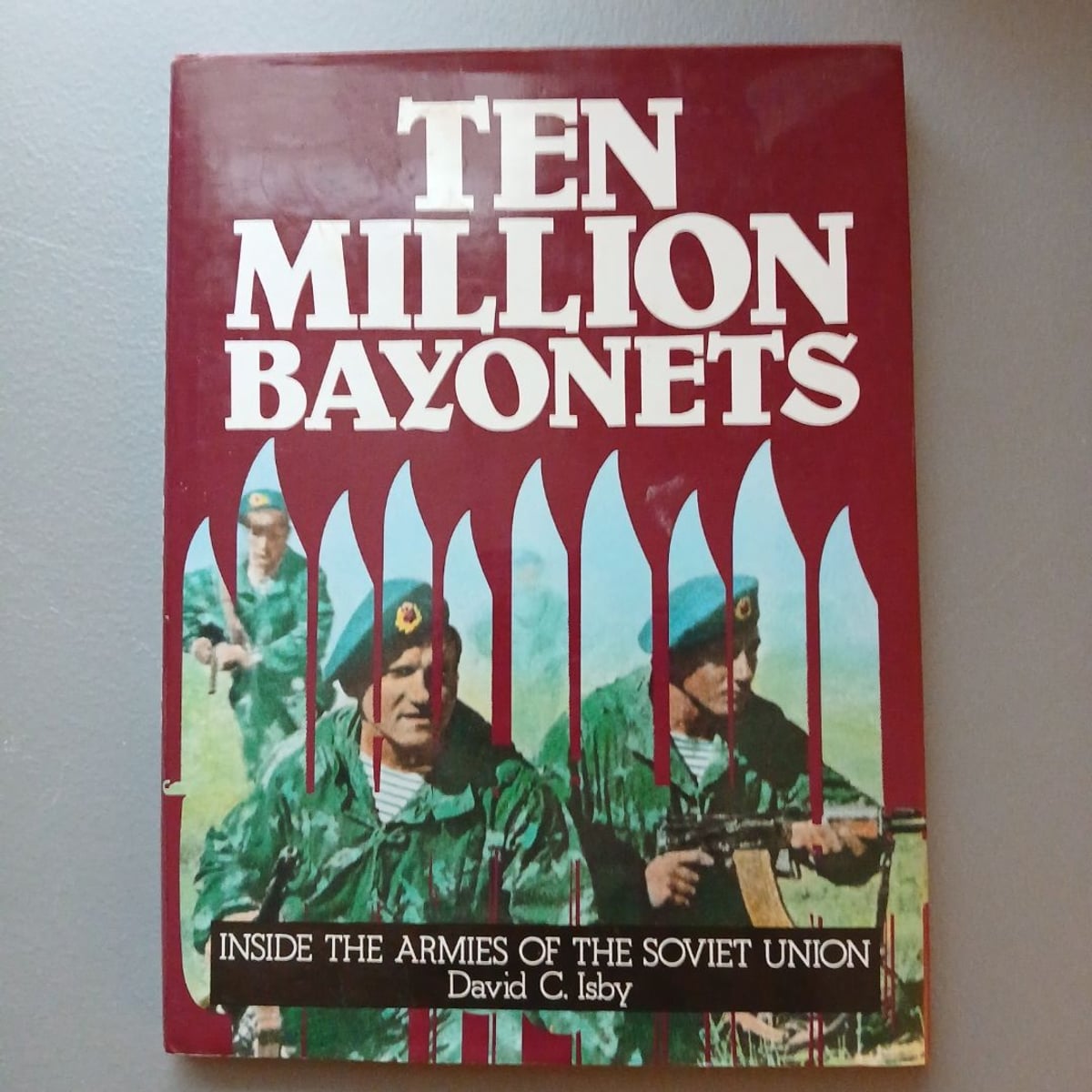 Ten Million Bayonets by David C. Isby