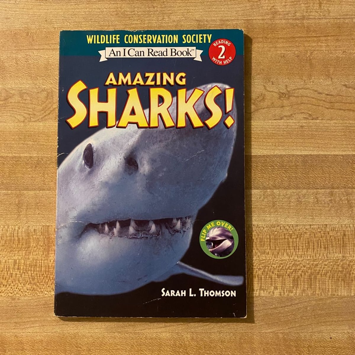 2 Books in 1! Amazing Sharks! and Amazing Dolphins! by Sarah L. Thomson ...