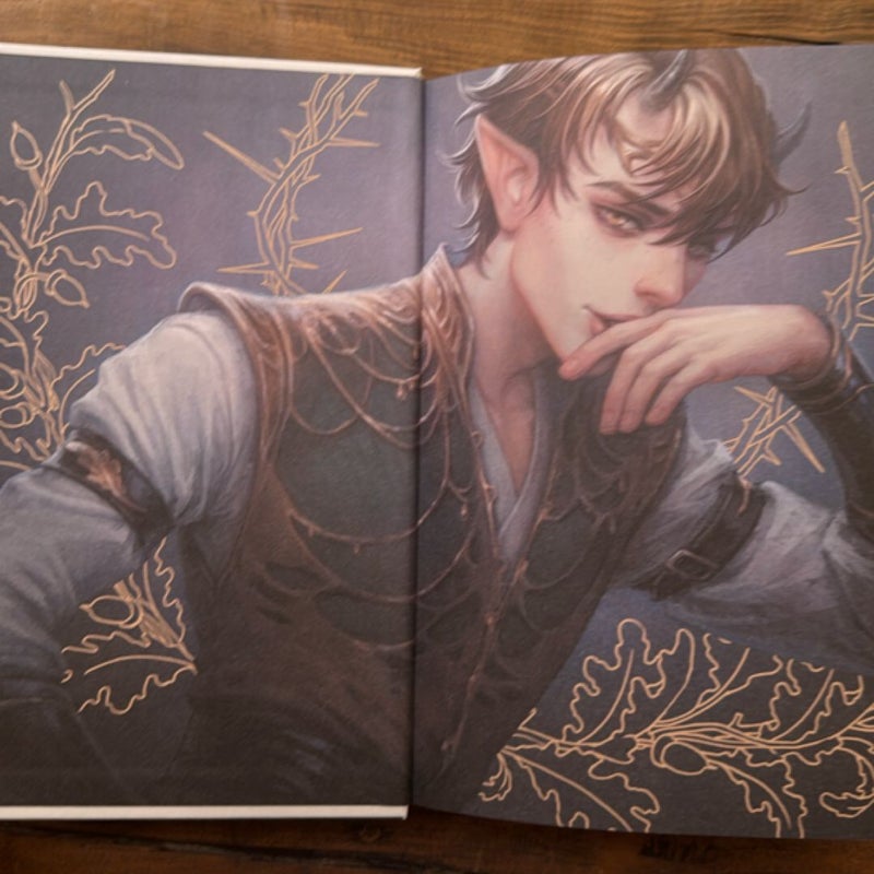 The Stolen Heir Series, Set of 2 Books. the Stolen Heir and the ...