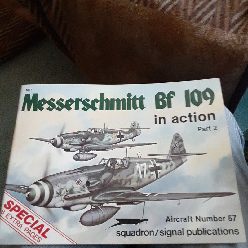 Messerschmitt BF 109 in Action by John Beaman