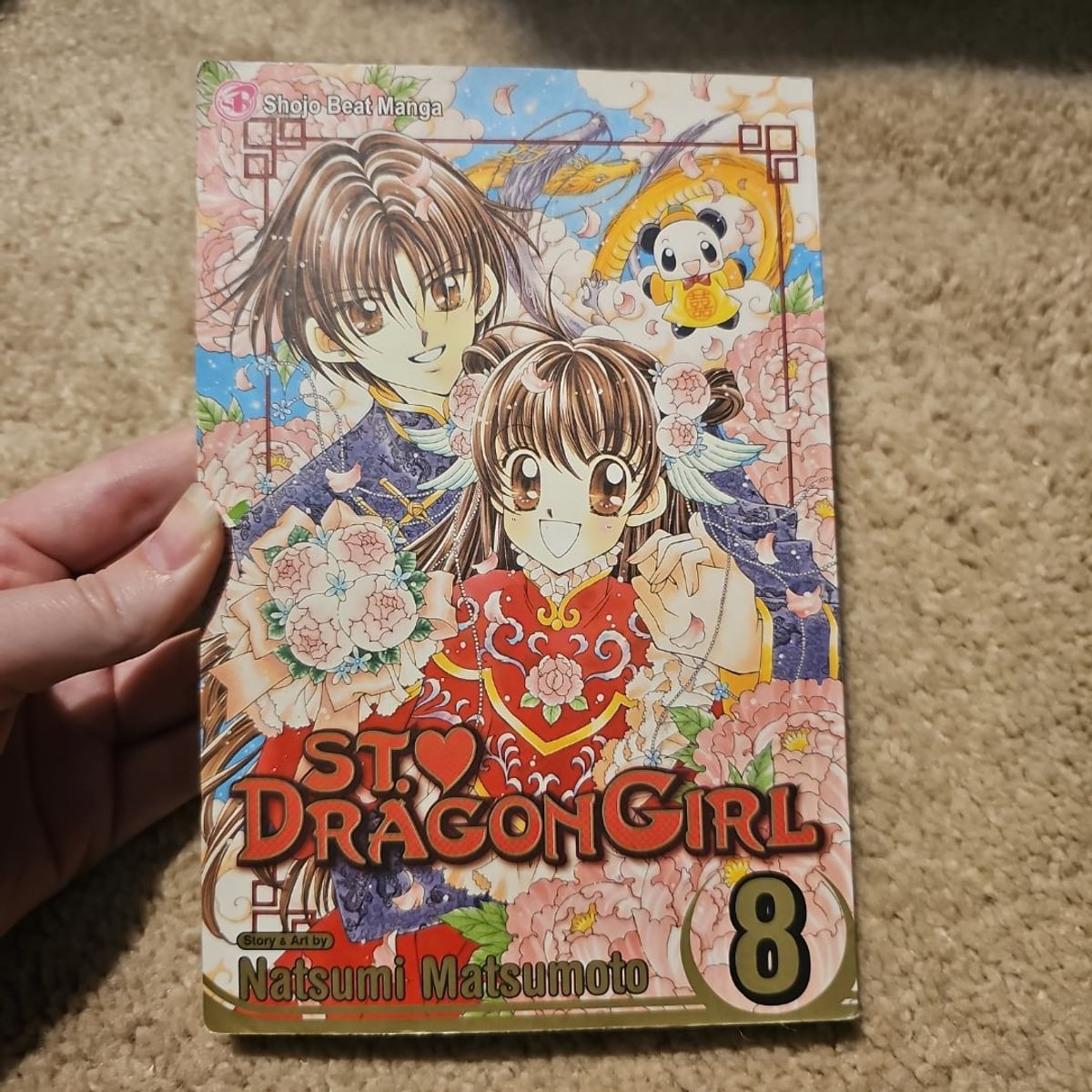 St. ? Dragon Girl, Vol. 8 by Natsumi Matsumoto