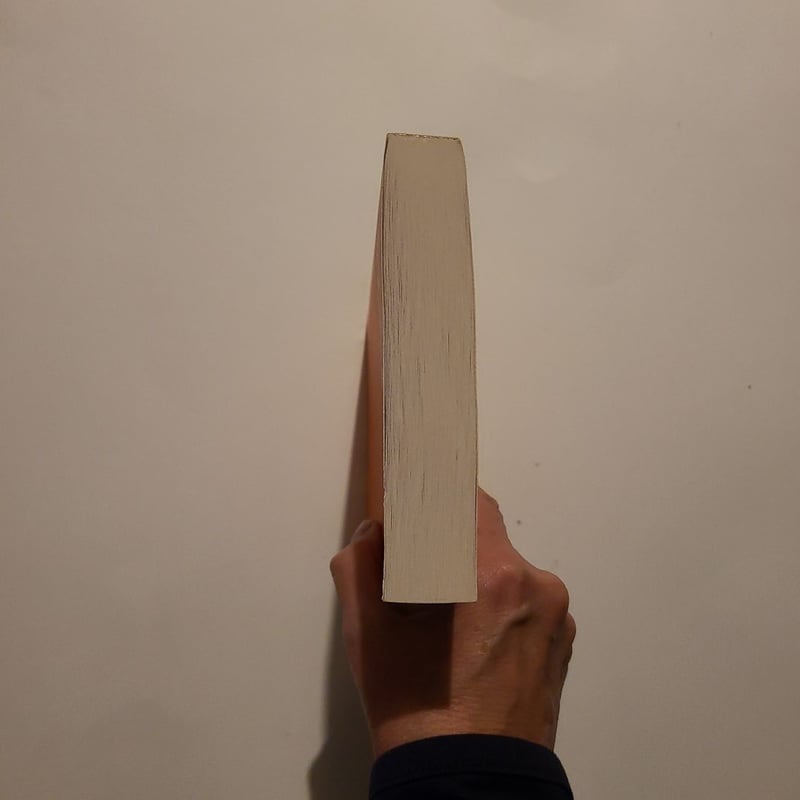 The Princess Beard by Kevin Hearne, Delilah S. Dawson