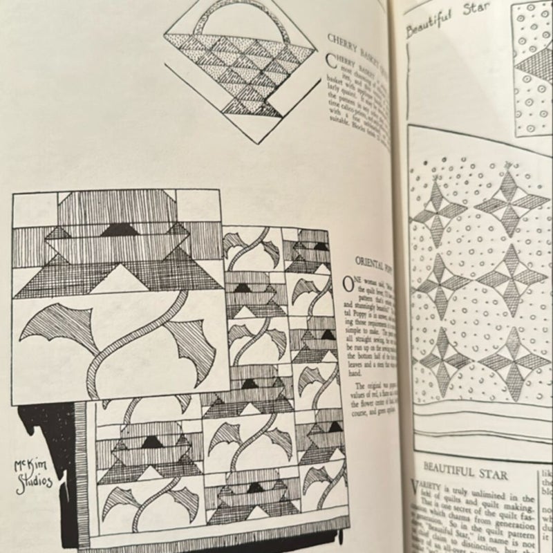 101 Patchwork Patterns by Ruby McKim , Paperback | Pangobooks