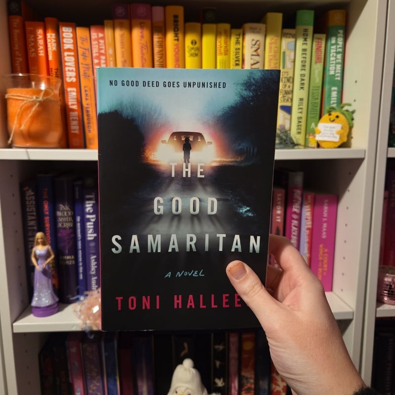 The Good Samaritan by Toni Halleen, Paperback | Pangobooks