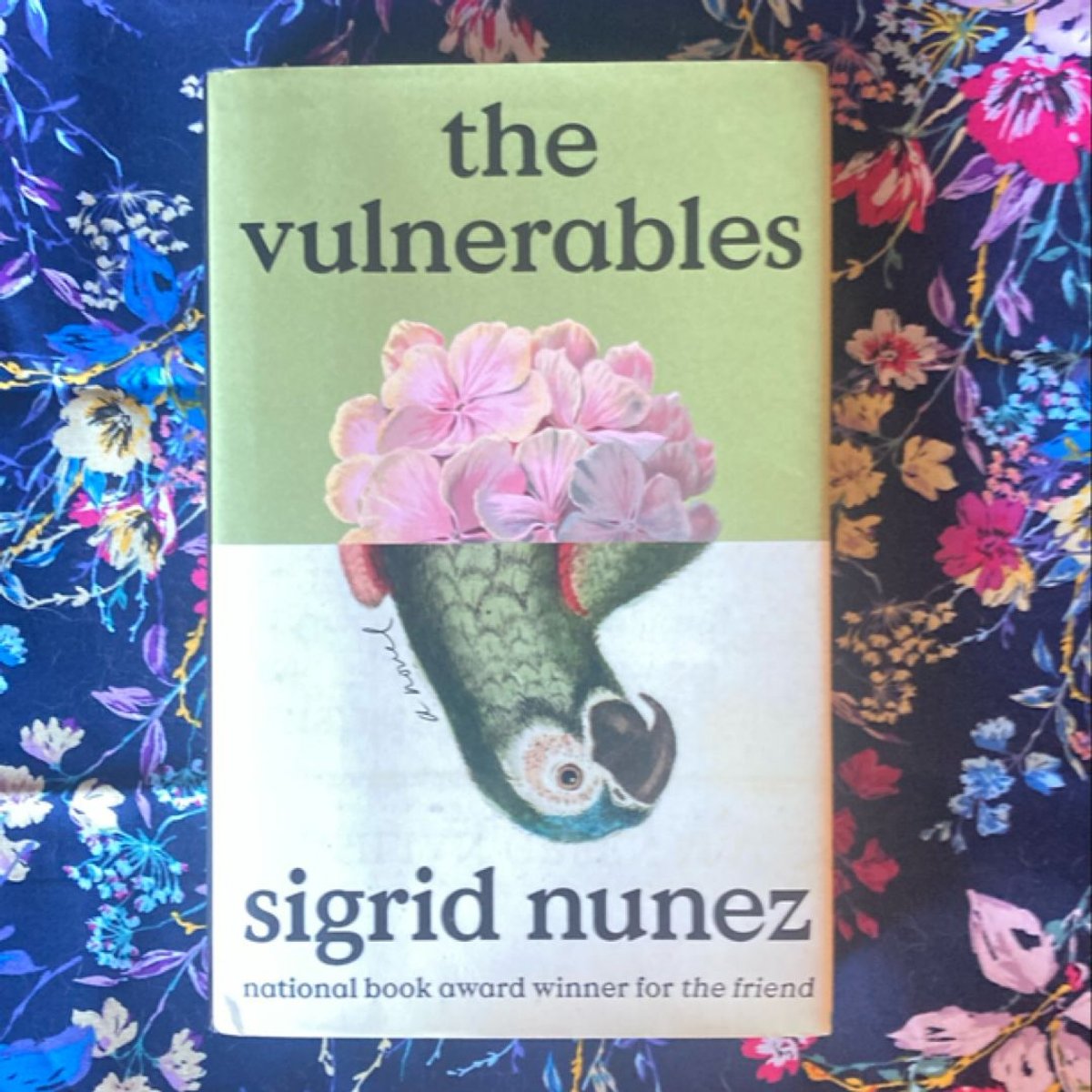 The Vulnerables by Sigrid Nunez