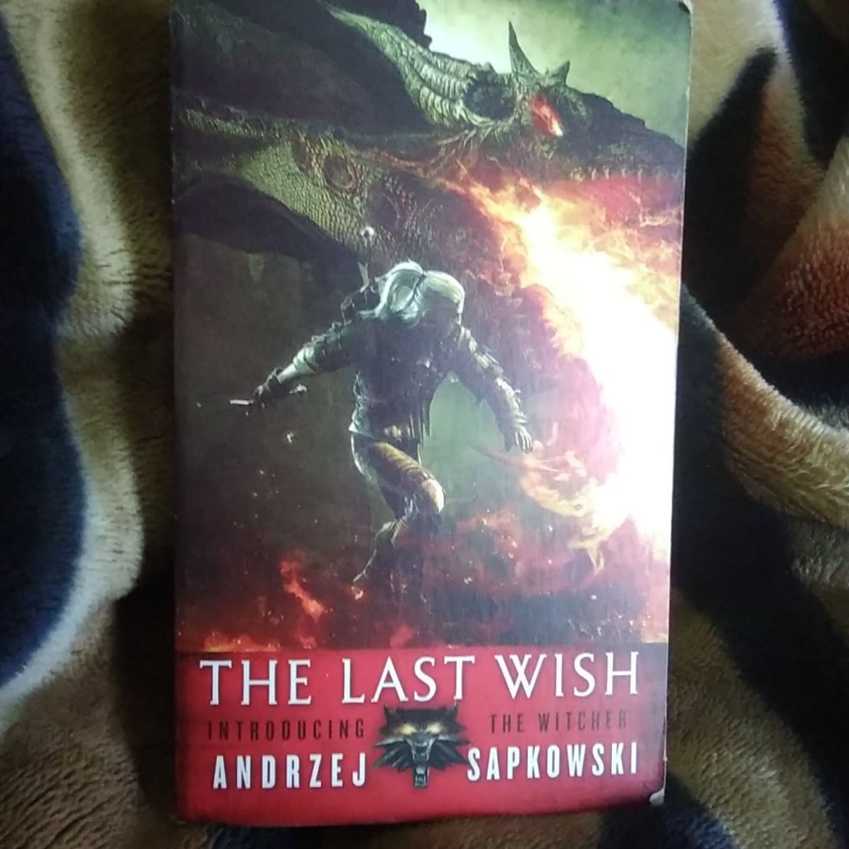 The Last Wish by Andrzej Sapkowski, Danusia Stok