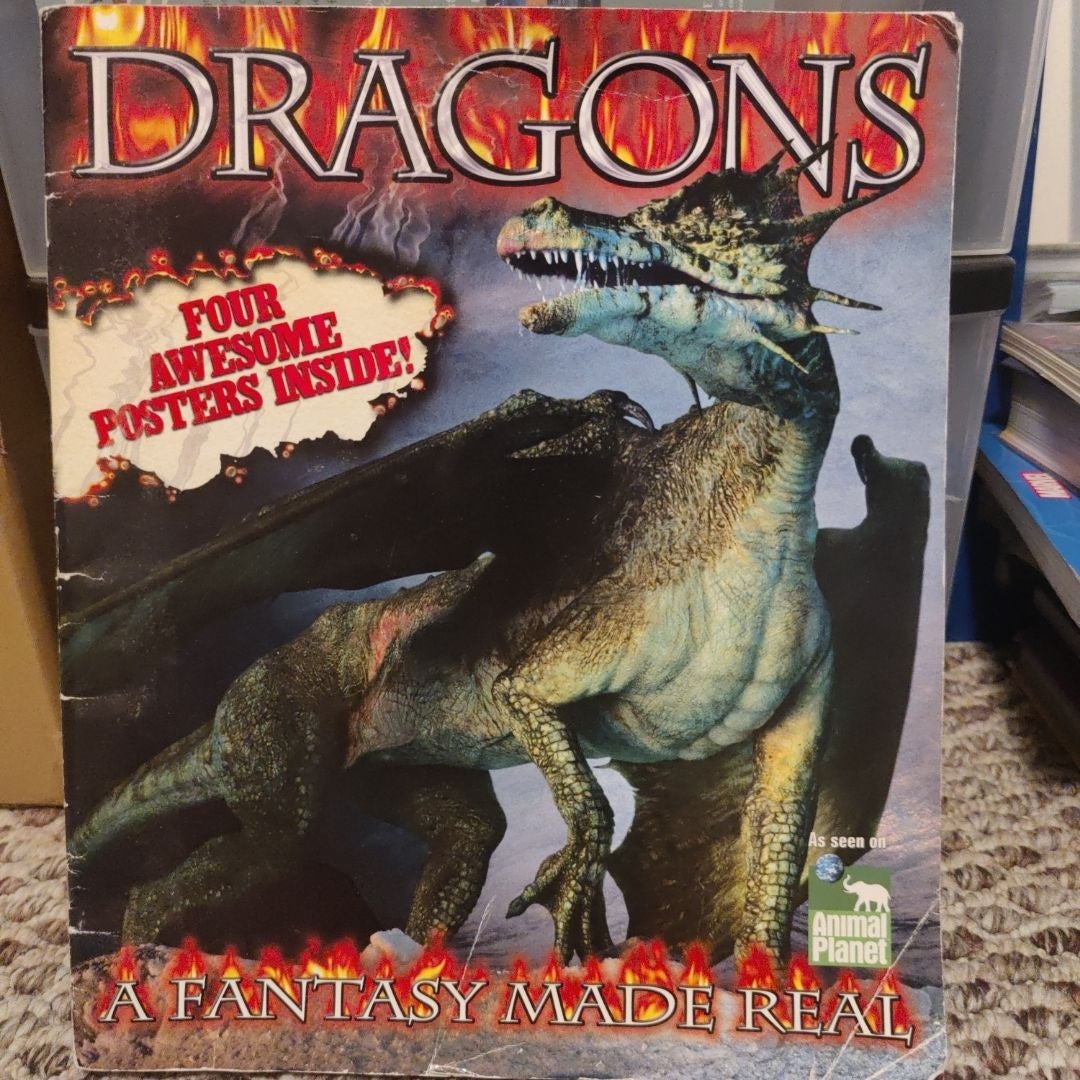 Dragons: A Fantasy Made Real by Charlie Foley, Paperback | Pangobooks