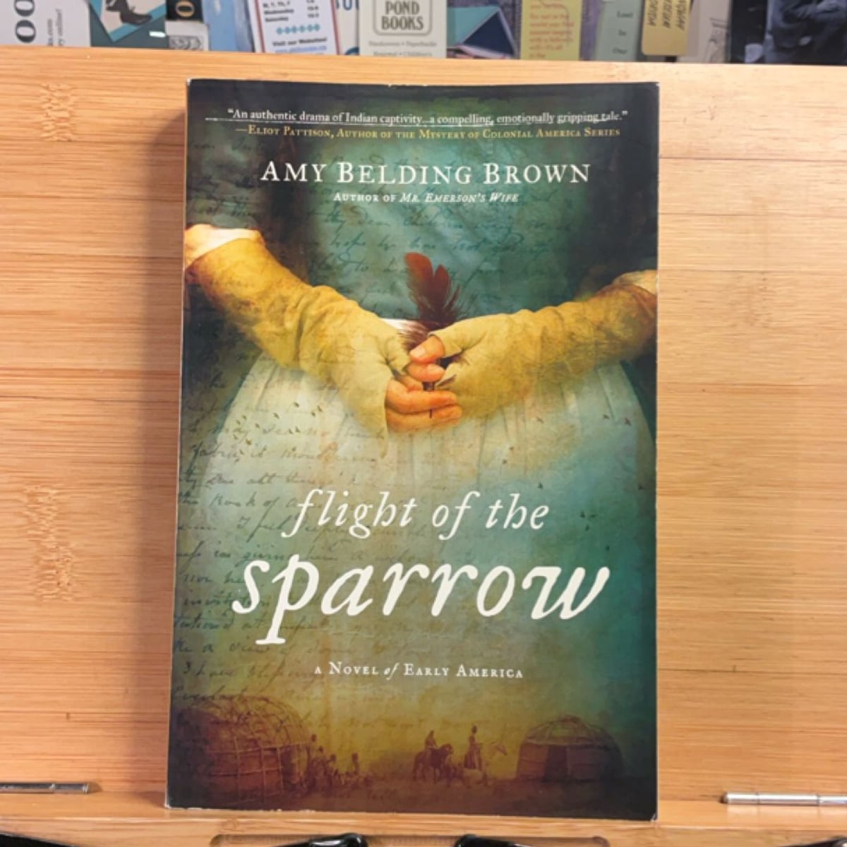 Flight of the Sparrow by Amy Belding Brown
