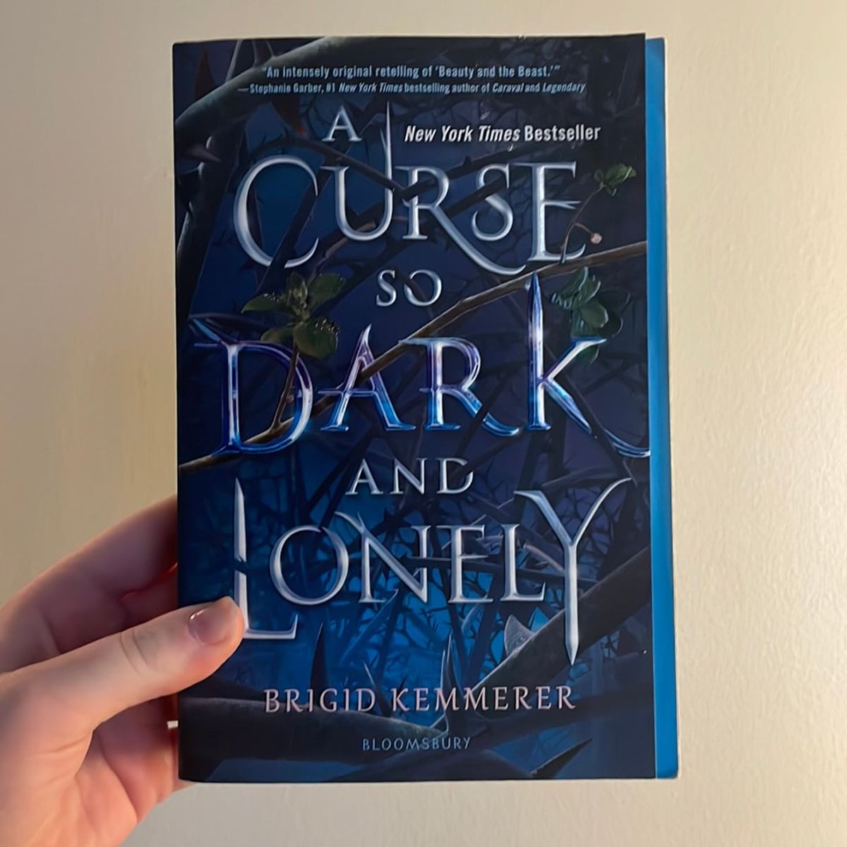 A Curse So Dark and Lonely by Brigid Kemmerer, Paperback | Pangobooks