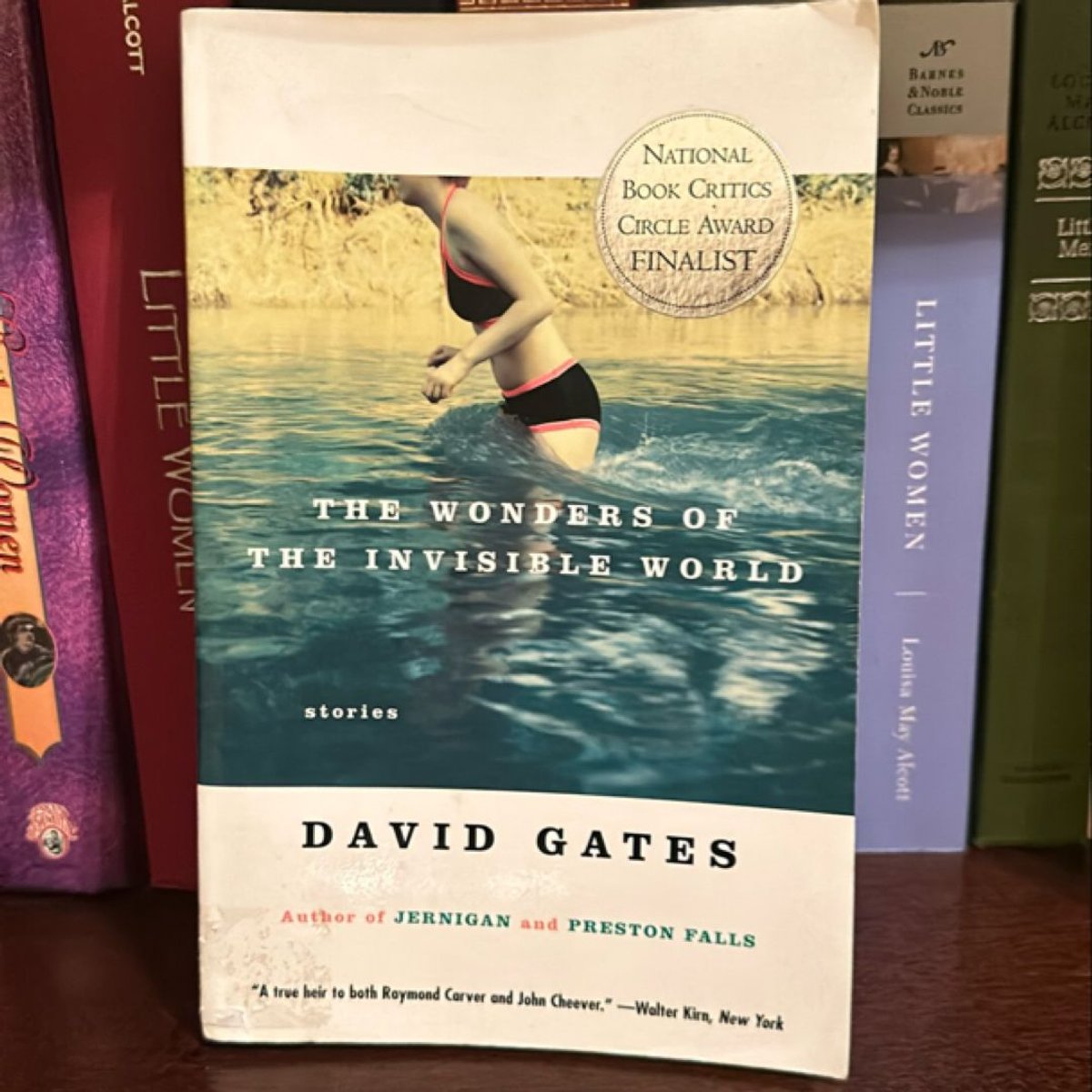 The Wonders of the Invisible World by David Gates