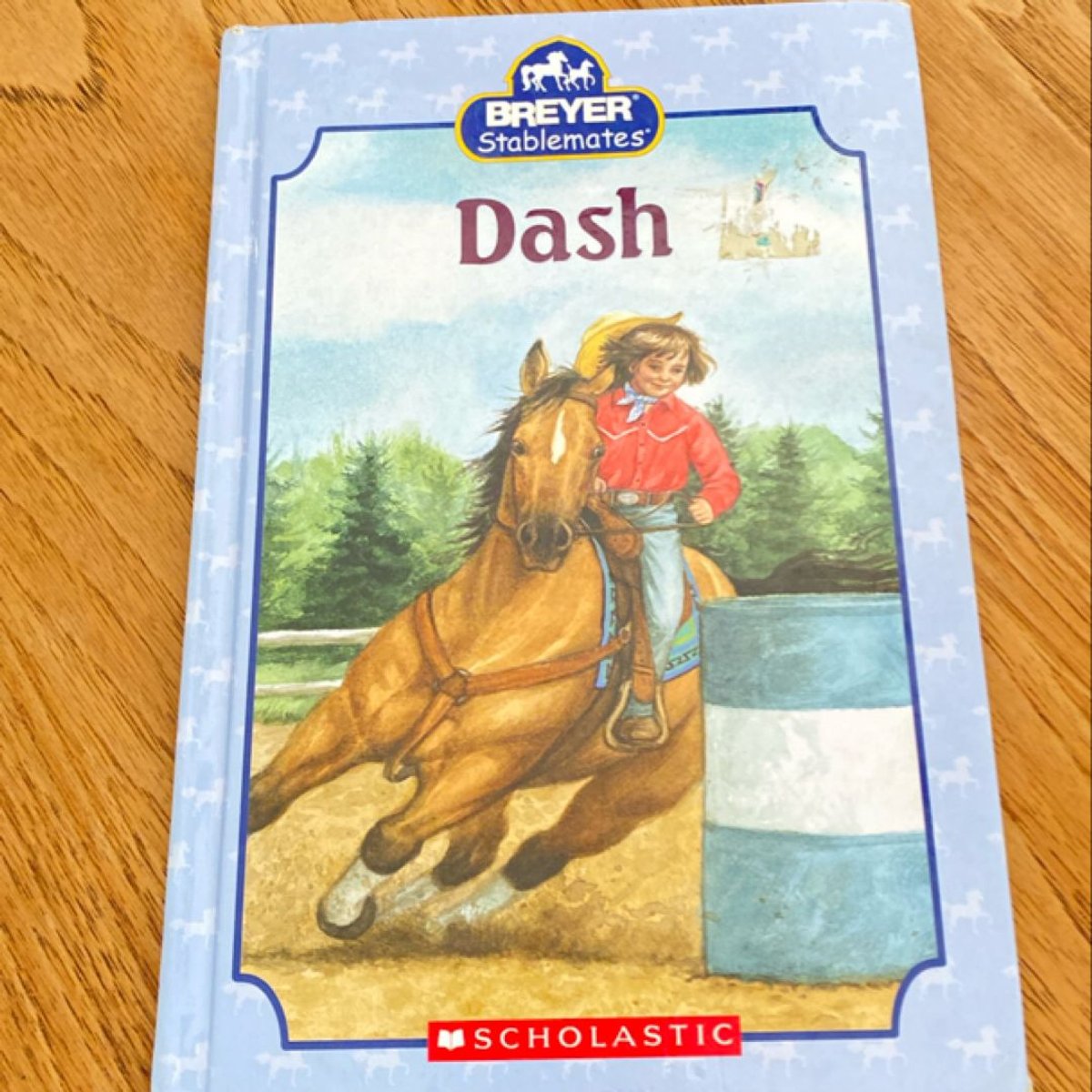 Dash by J. Elizabeth Mills