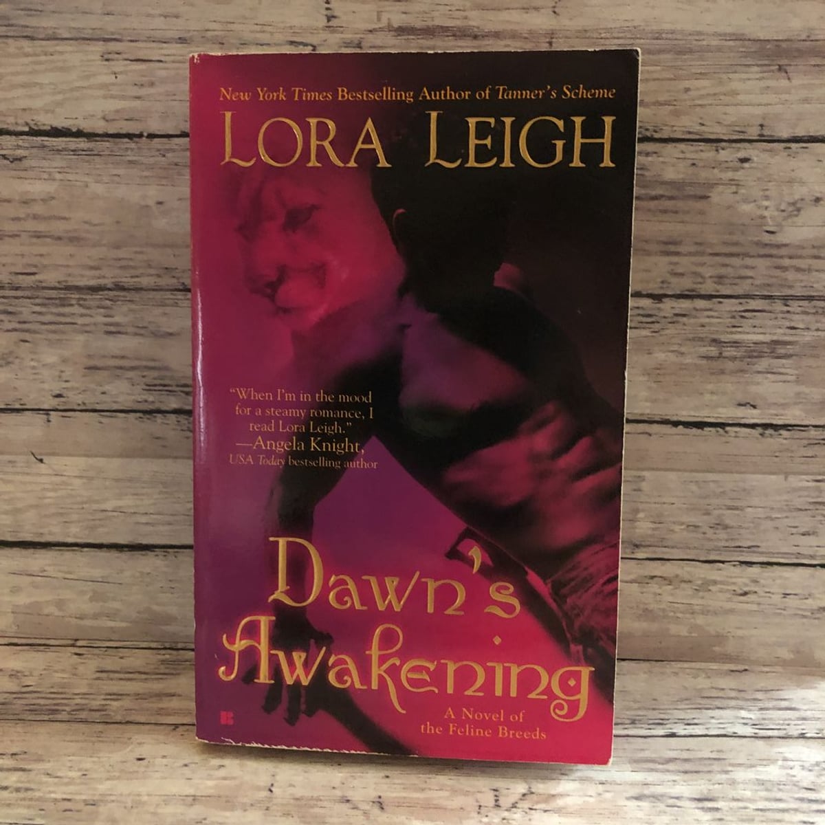 Dawn's Awakening by Lora Leigh