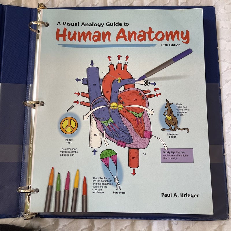A Visual Analogy Guide to Human Anatomy by Paul A. Krieger