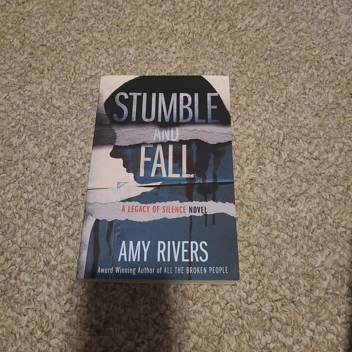 Stumble & Fall by Amy Rivers