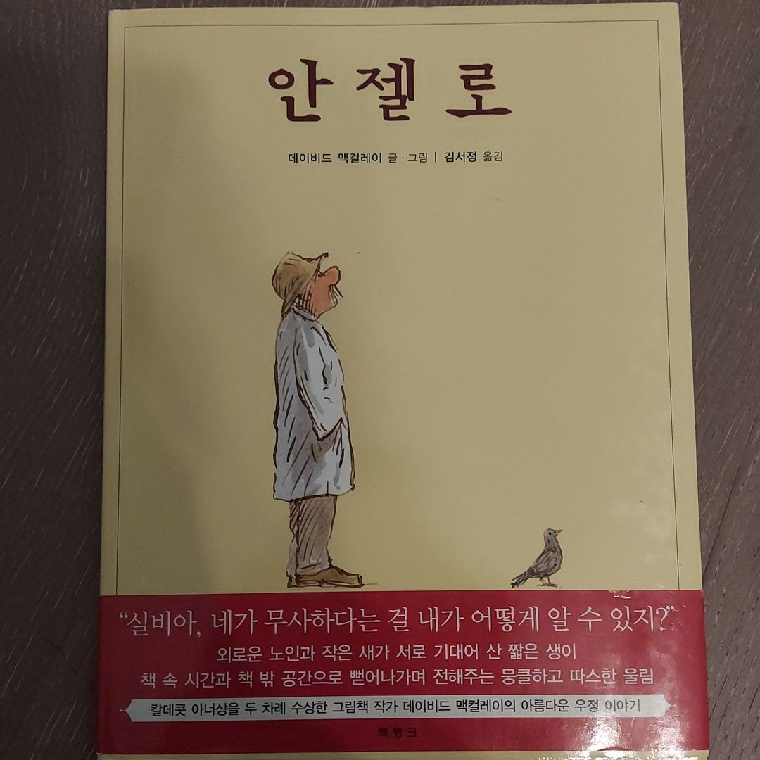 Angelo by David Macaulay, Hardcover | Pangobooks