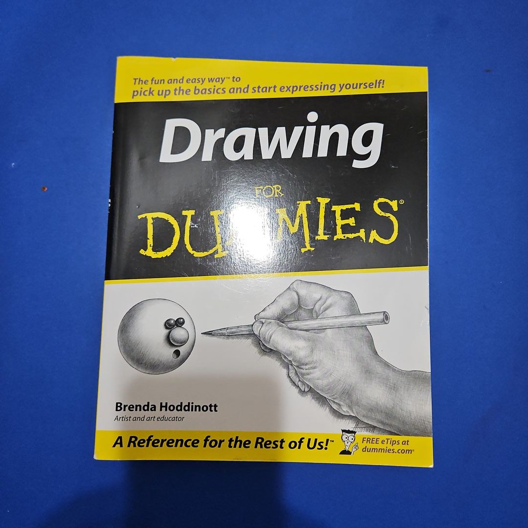 Drawing for Dummies by Brenda Hoddinott