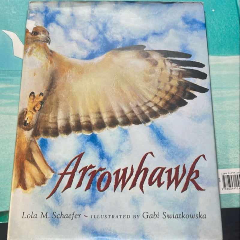 Arrowhawk by Lola M. Schaefer