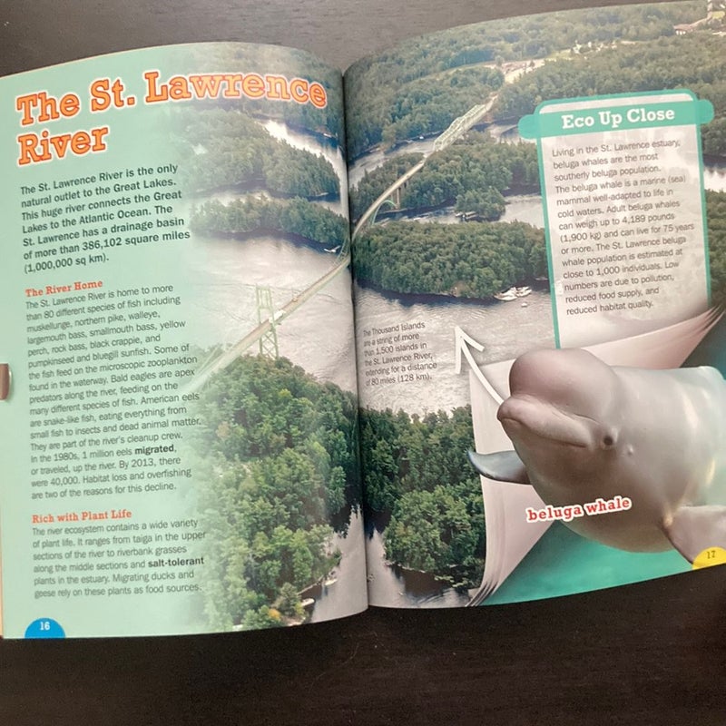 Inside Out Rivers and Lakes by Megan Kopp