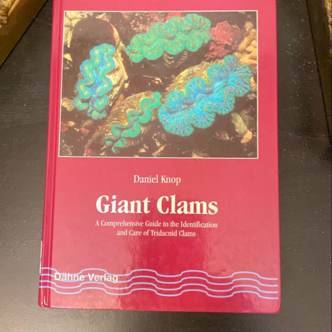 Giant Clams by Daniel Knop