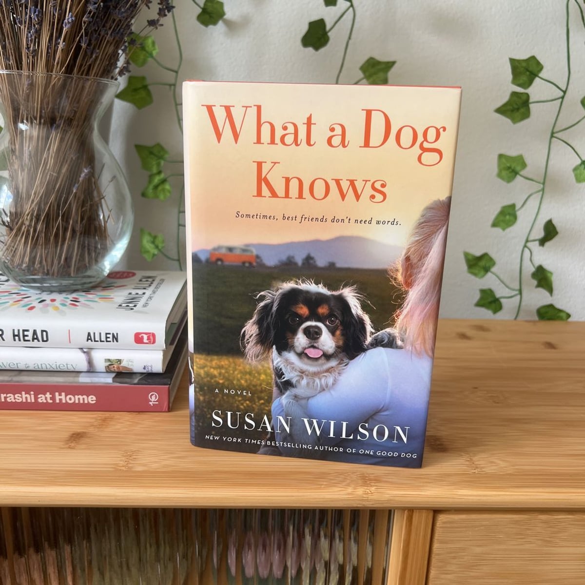 What a Dog Knows by Susan Wilson, Hardcover | Pango Books