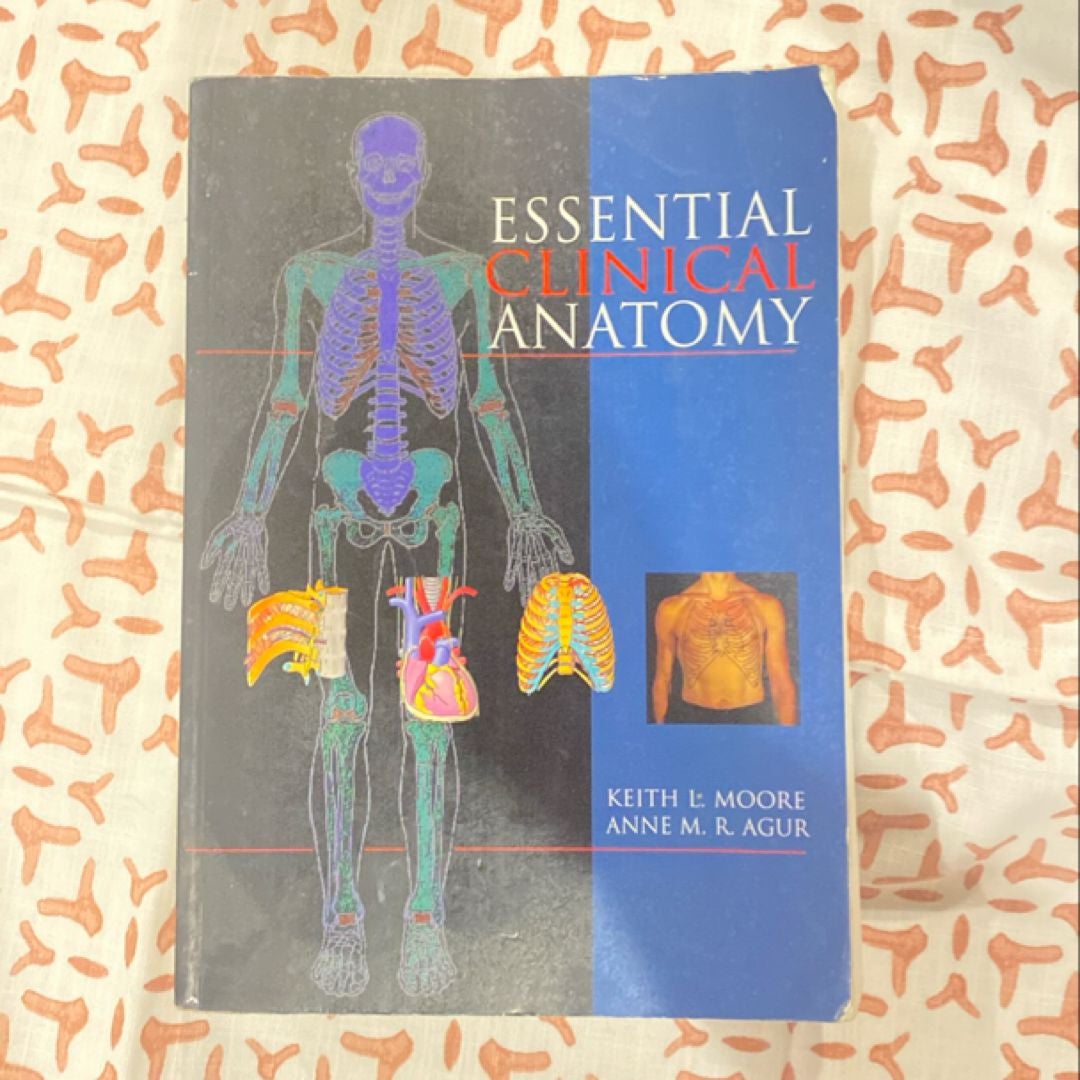 Essential Clinical Anatomy by Bruce Alberts, Karen Hopkin, Alexander D ...