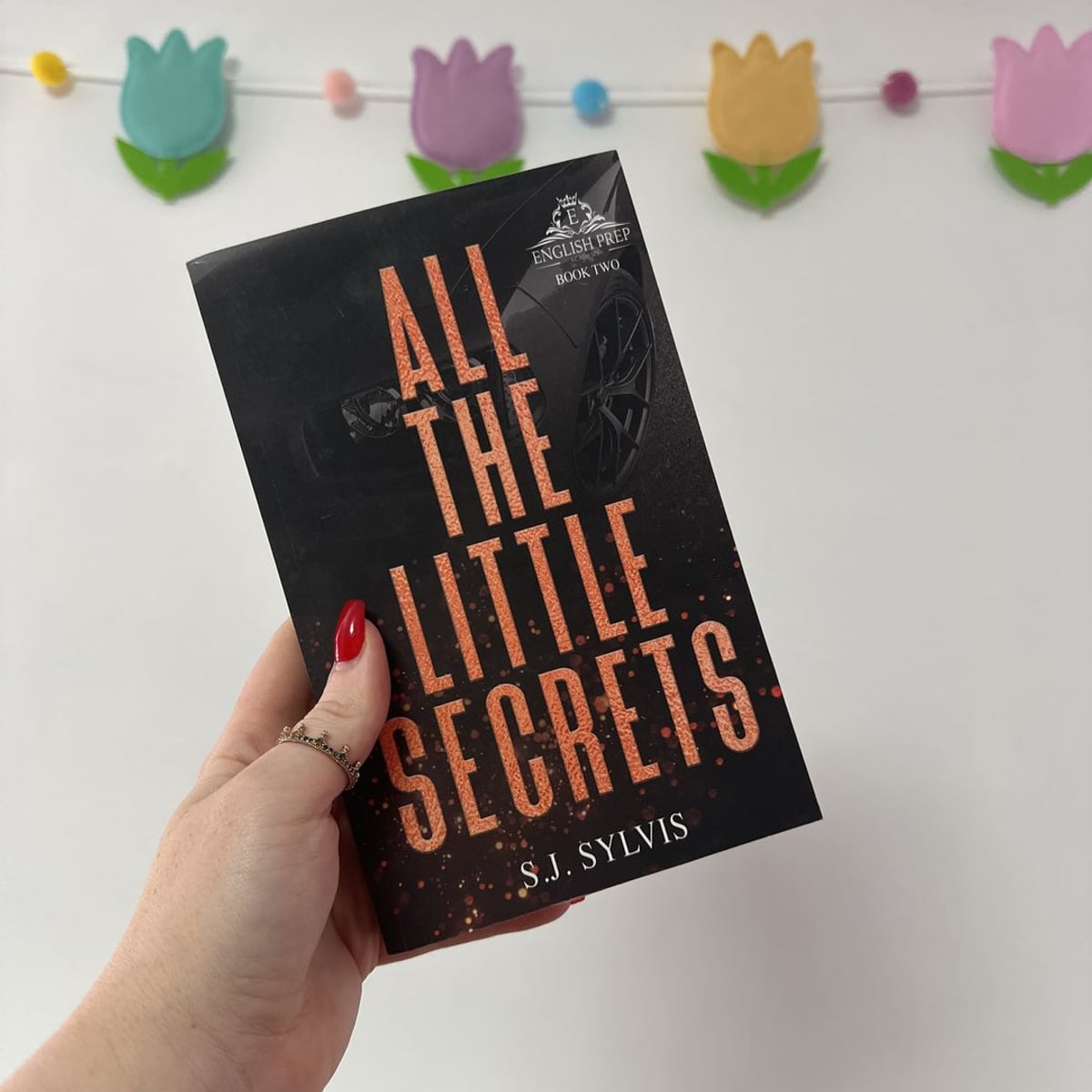 All the Little Secrets by S. J. Sylvis