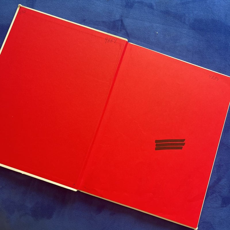 My First Spanish Word Book / Mi Primer Libro de Palabras Enespañol by DK