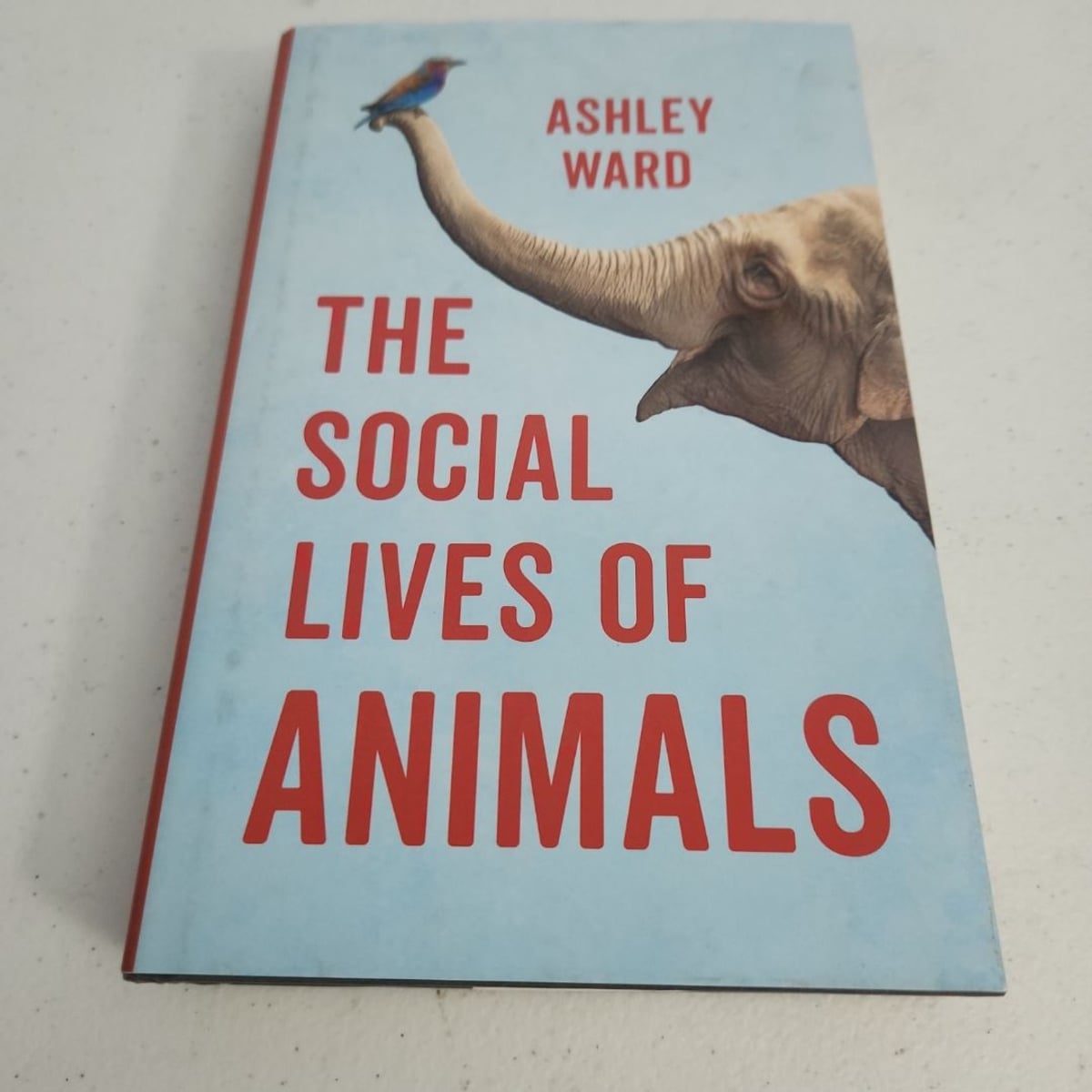 The Social Lives of Animals by Ashley Ward