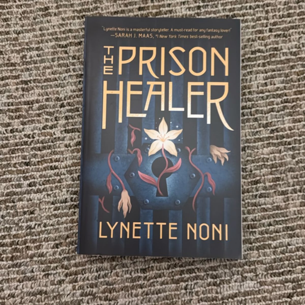 The Prison Healer by Lynette Noni