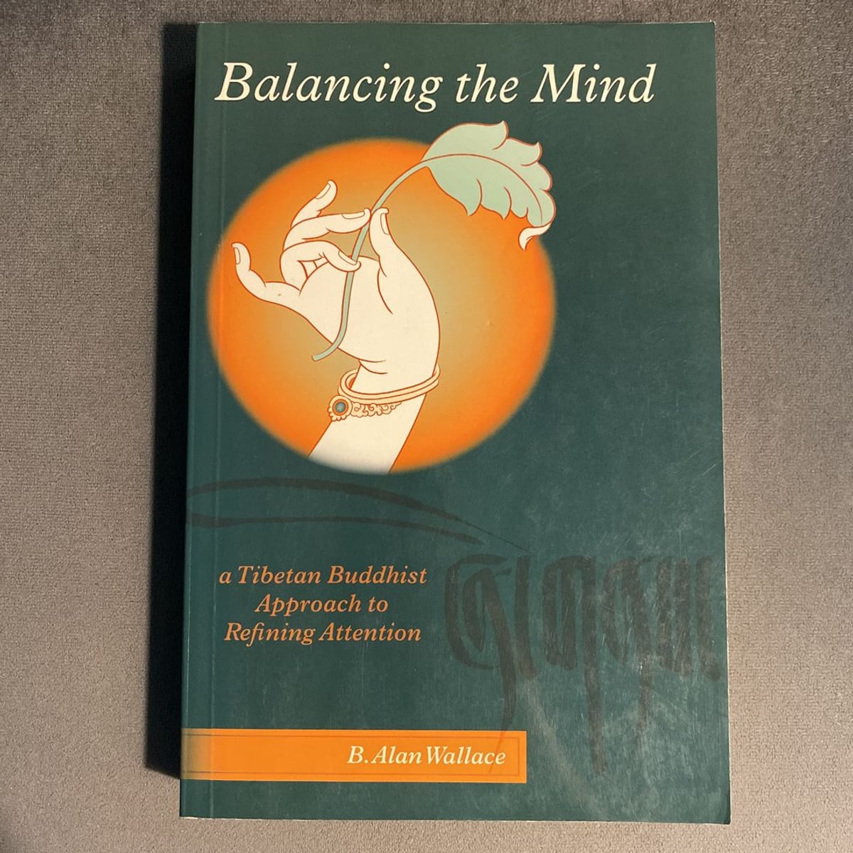 Balancing the Mind by B. Alan Wallace
