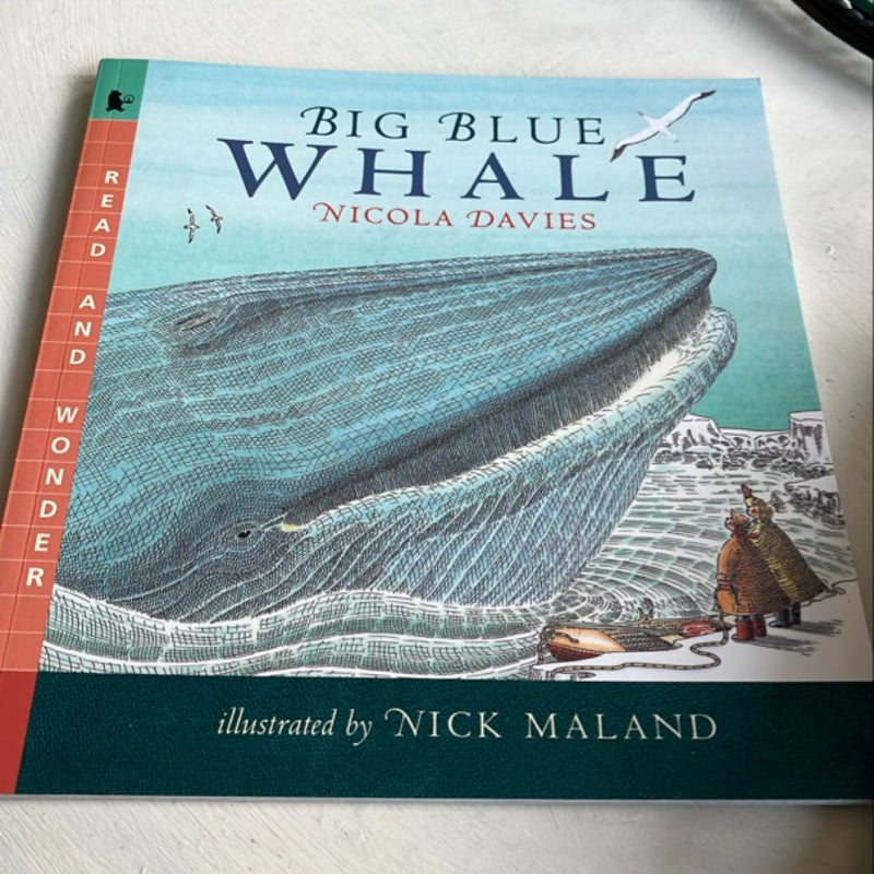 Big Blue Whale by Nicola Davies