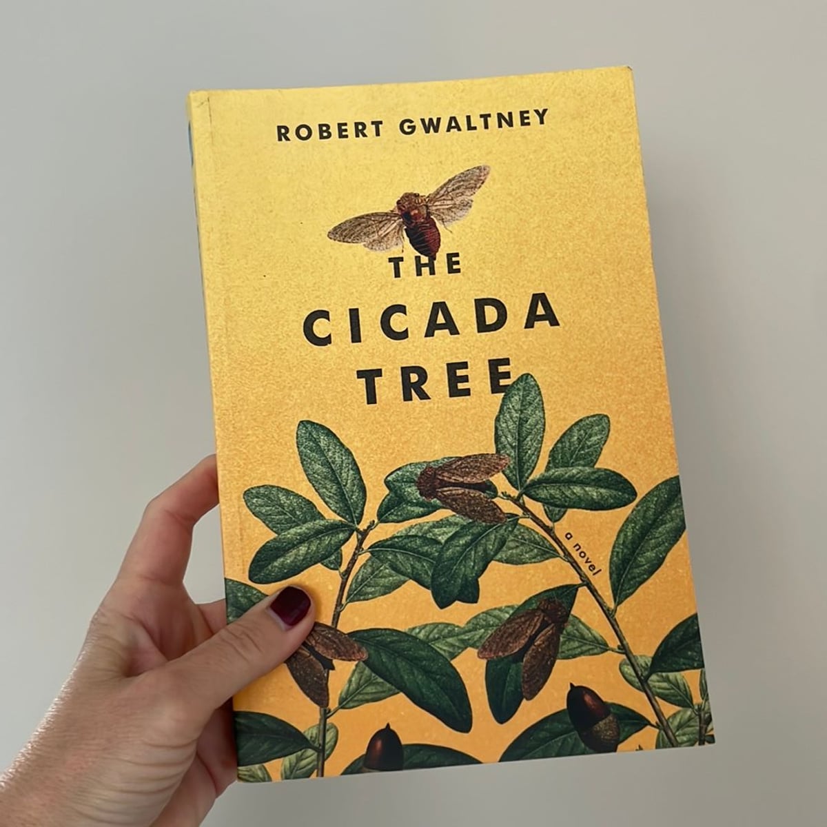 The Cicada Tree by Robert Gwaltney, Paperback | Pangobooks