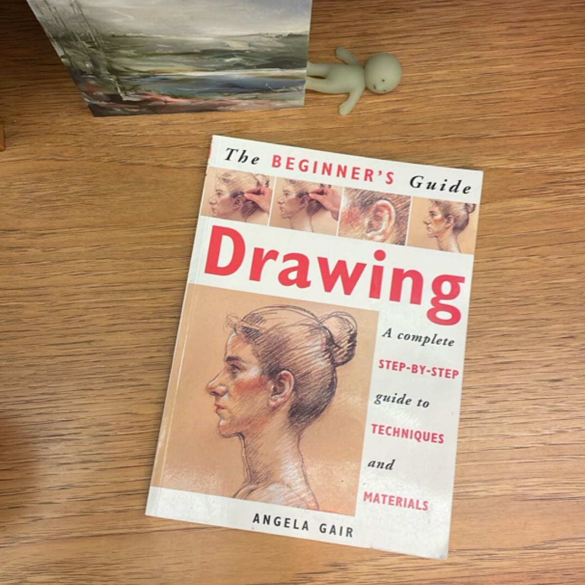 Beginner's Guide to Drawing by Angela Gair