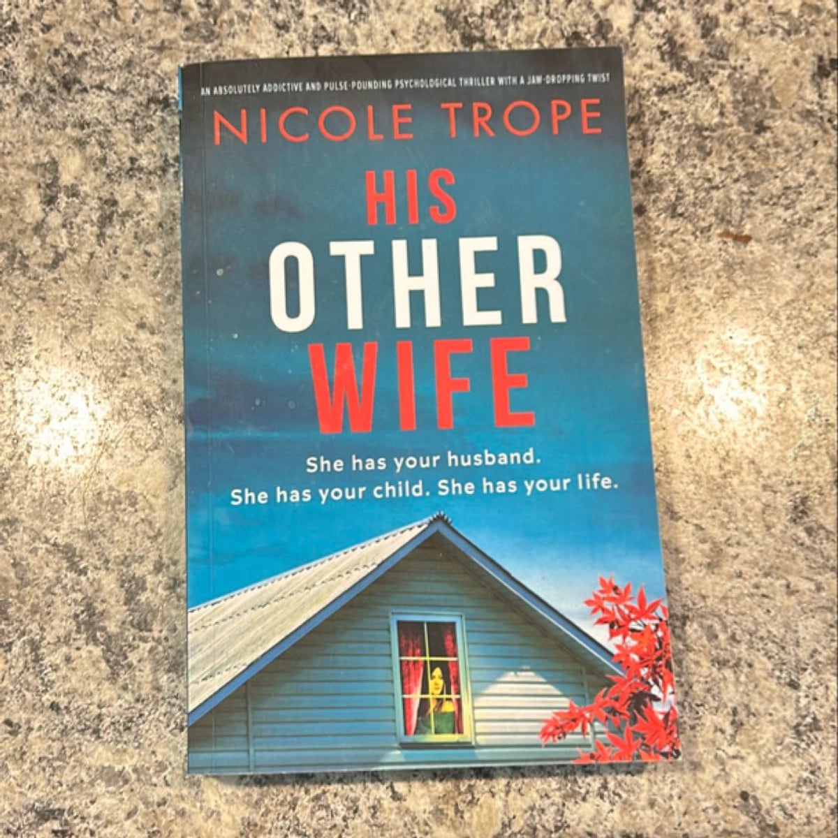 His Other Wife by Nicole Trope