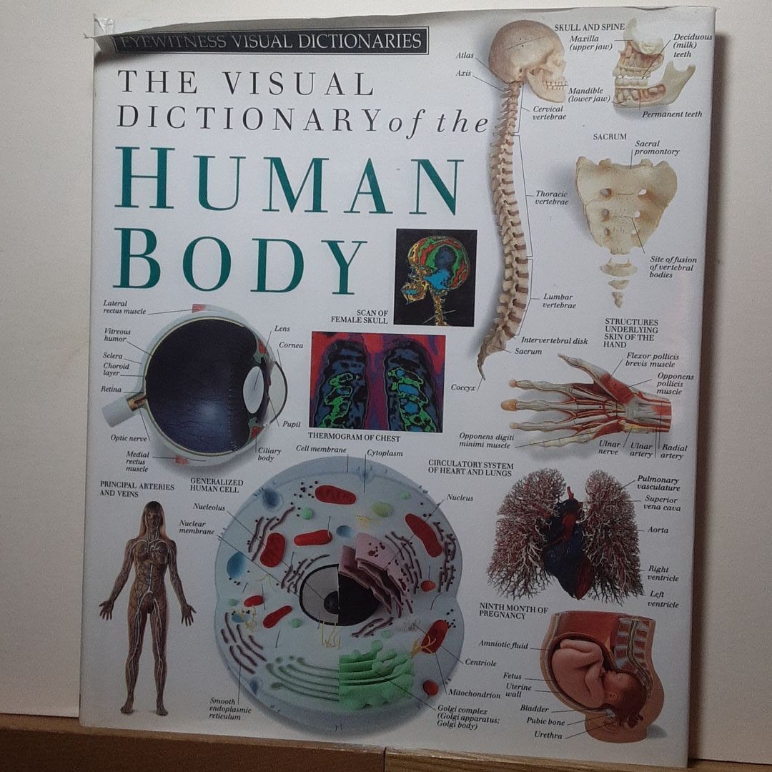 Eyewitness Visual Dictionaries: the Visual Dictionary of the Human Body ...
