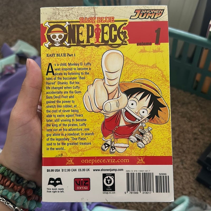 One Piece, Vol. 1 by Eiichiro Oda, Paperback | Pangobooks