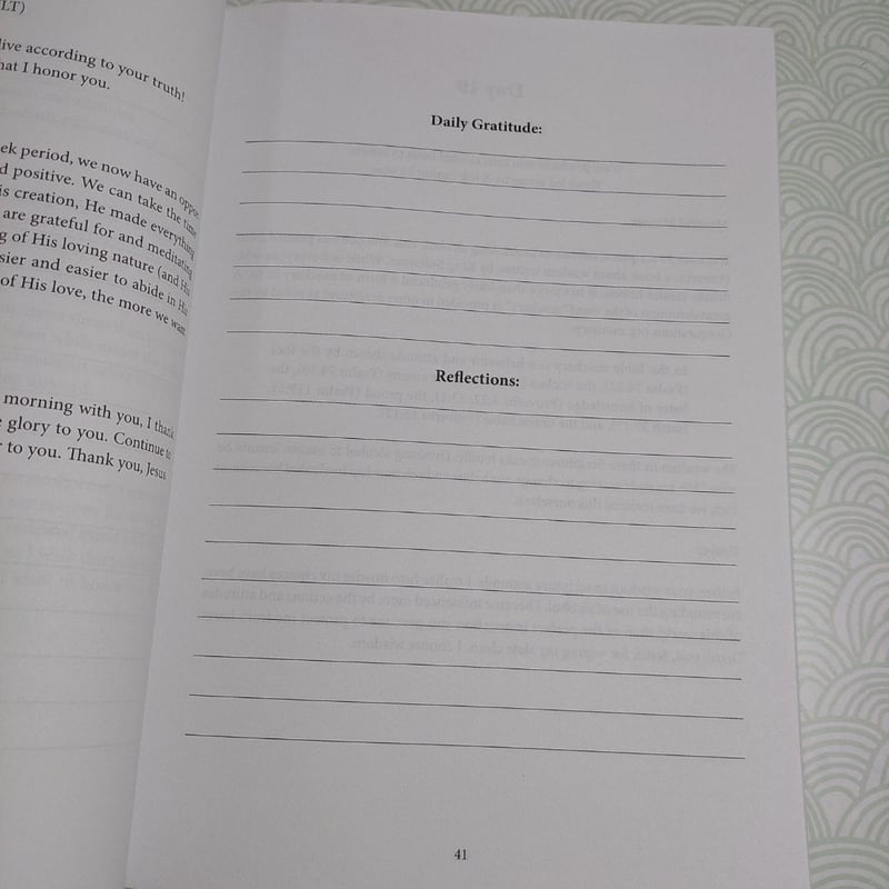 The Plans He Has for Me by Rose Ann Forte