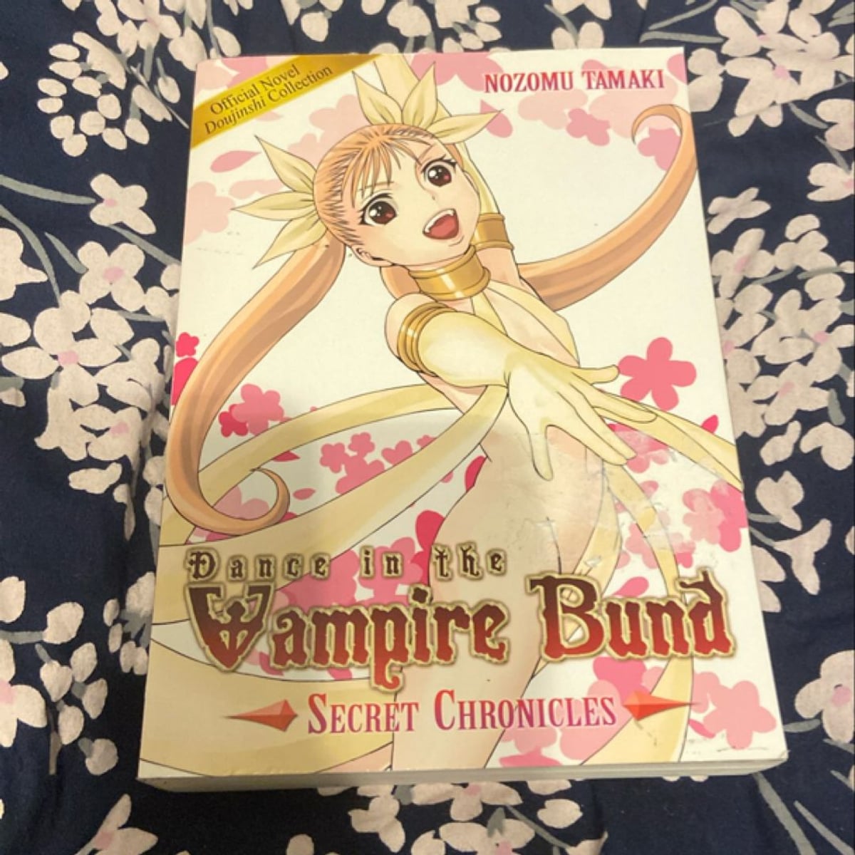 Dance in the Vampire Bund: Secret Chronicles by Nozomu Tamaki