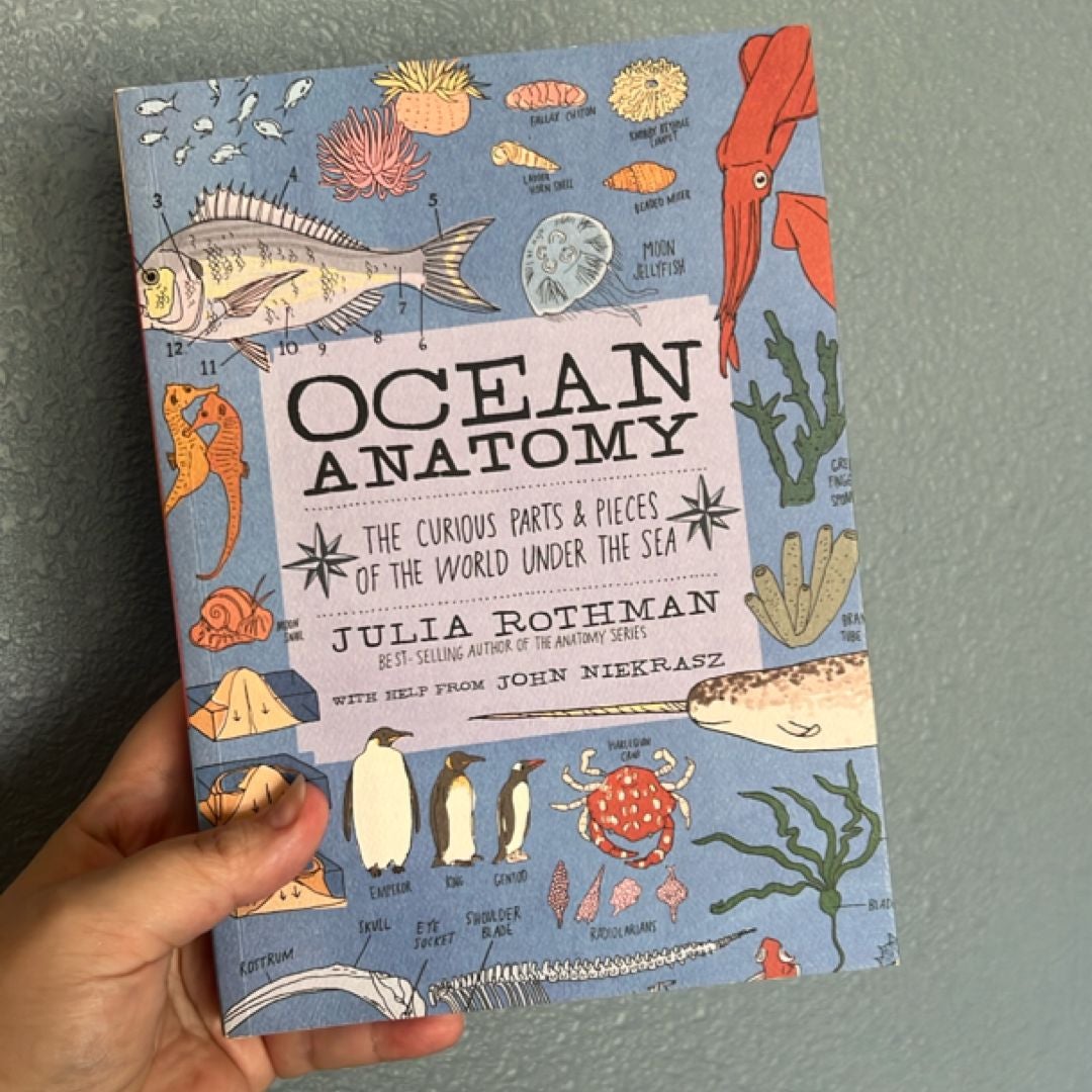 Ocean Anatomy by Julia Rothman, John Niekrasz
