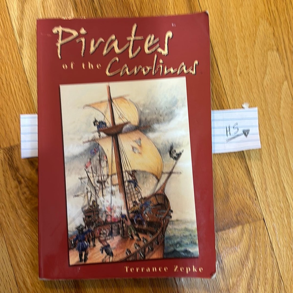 Pirates of the Carolinas by Terrance Zepke