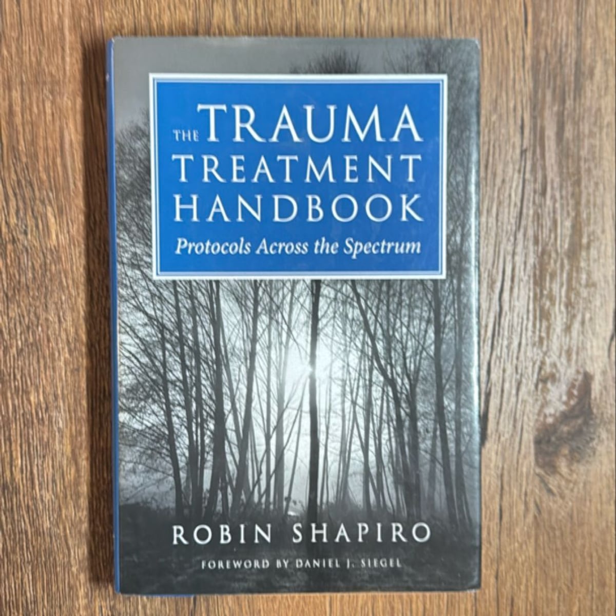 The Trauma Treatment Handbook by Robin Shapiro