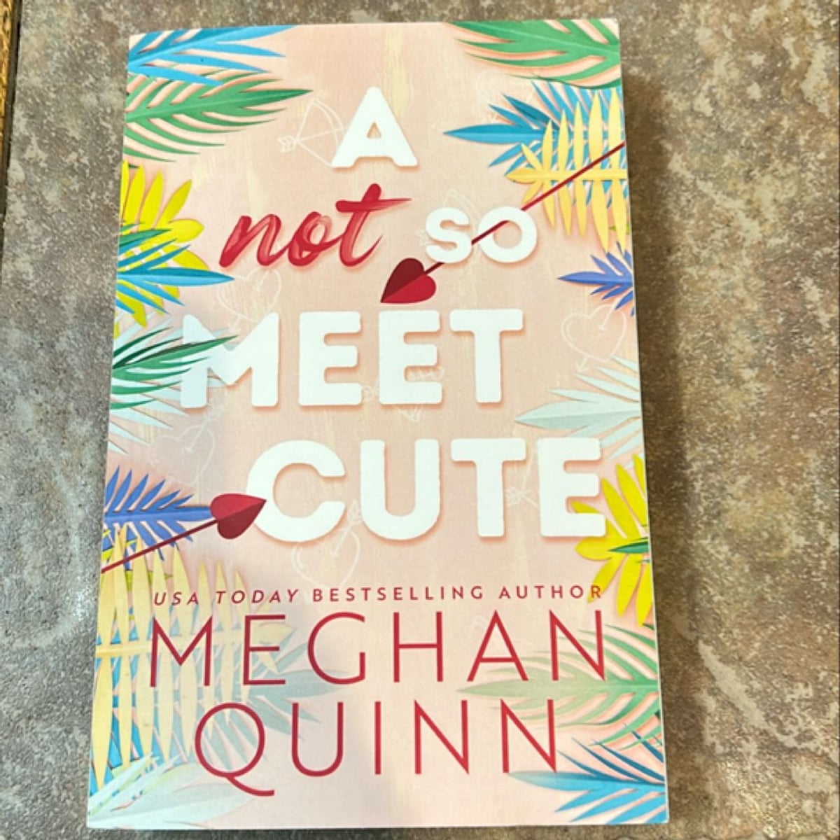 A Not So Meet Cute by Meghan Quinn